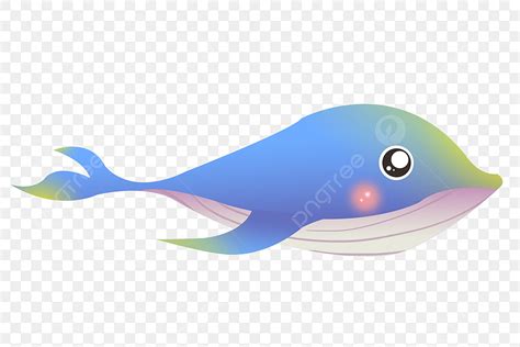 海洋 生物 美麗 美麗海洋生物插畫 海洋 生物 美女素材圖案PSD和PNG圖片免費下載