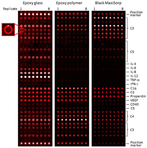 Microarrays Free Full Text Evaluation Of Solid Supports For Slide And Well Based