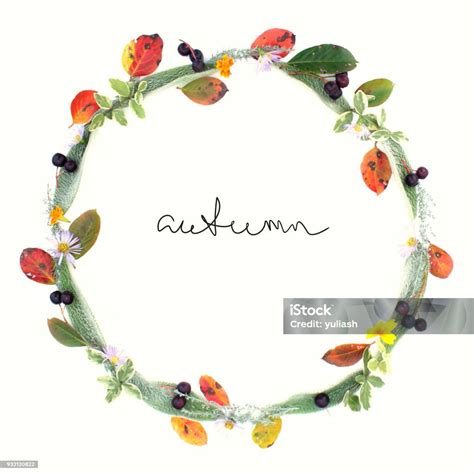 가가 라운드 프레임 화 환 잎 꽃과 필기 비문 가 흰색 배경에 고립 된 딸기 평면 위치 최고 보기 0명에 대한 스톡 사진 및