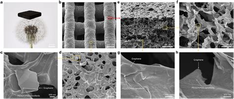 The Microstructure Of The 3d Printed Gpedotpss Aerogels A