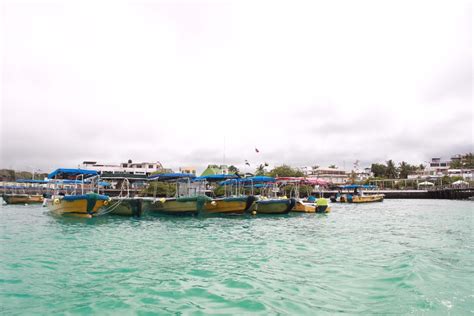 내생의 최고의 여행지 갈라파고스걸어서 볼 수 있는 산타크루즈섬 탐방기 두피디아 여행기