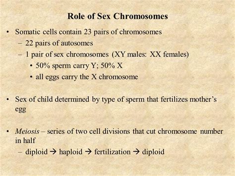 Unit V Development Sex Hormones Ppt Download