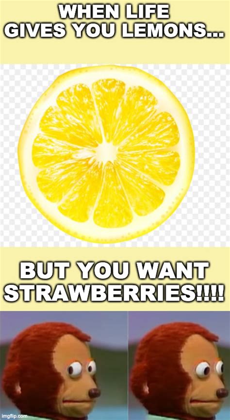 When Life Gives You Lemons Memes And S Imgflip