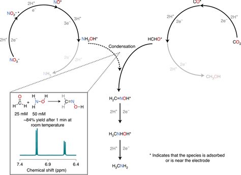 The Proposed Reaction Pathway Of The Eight Step Cascade Download