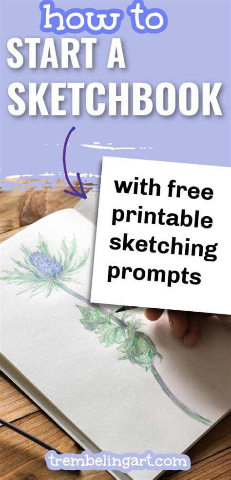 How To Start And Keep A Sketchbook Pencil Drawings For Beginners Sketch Book Beginner