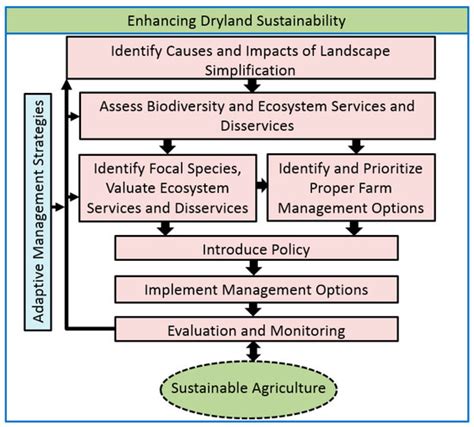 Sustainability Free Full Text Impacts Of Agricultural Management