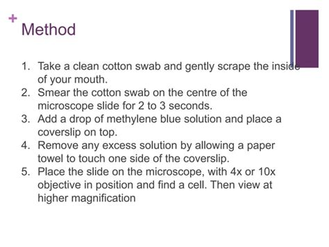 Preparing A Cheek Cell Slide Pptx