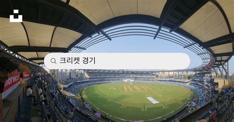 크리켓 경기 사진 Unsplash에서 무료 이미지 다운로드