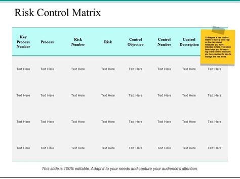 Risk Control Matrix Ppt Powerpoint Presentation File Professional PowerPoint Templates