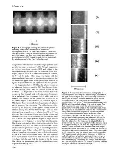 Ac Electrokinetics A Review Of Forces In Microelectrode Structures
