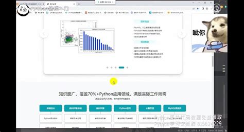 代码总是学完就忘记？100个爬虫实战项目！让你沉迷学习丨学以致用丨下一个pyth 哔哩哔哩