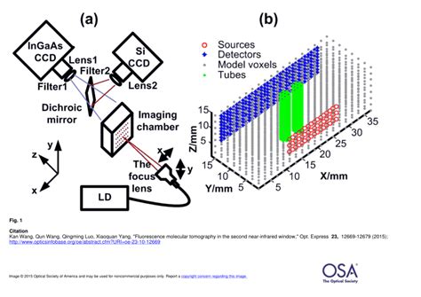 Pdf Fluorescence Molecular Tomography In The Second Near Infrared Window