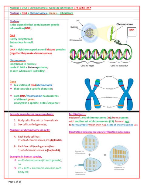 Genes And Inheritance 1 Pdf Natural Selection Reproduction