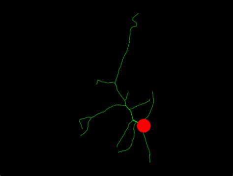 Detailed Cell Information Mf47ccell3trace