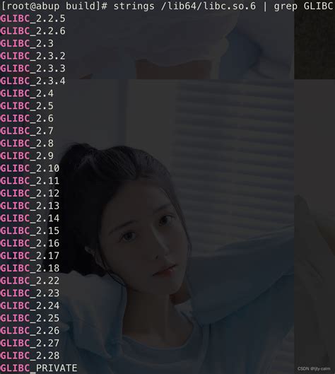 Centos7x更新glibc库the Script Doesnt Work If Youre Installing Gnu L Csdn博客