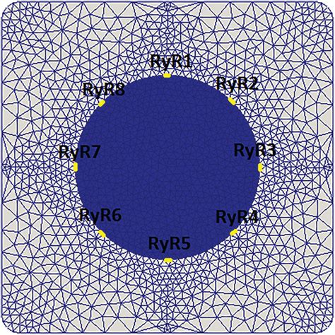This Figure Shows The Meshing Used During The Simulations Download