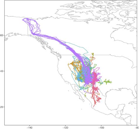 Paths For All Eagles In The Dataset Color Indicates Individual Bird