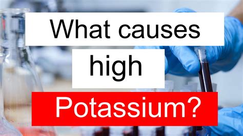 What Does High Potassium And Calcium Mean In Blood Test