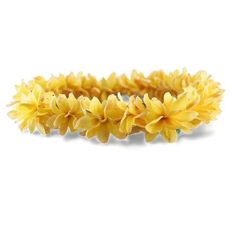 Download Yellow Hawaiian Lei Png Gln