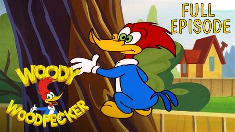 Woodys Tree Full Episode Woody Woodpecker Youtube