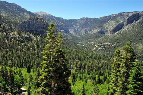 Top 15 Things To Do In Mt Charleston Nevada Trip101