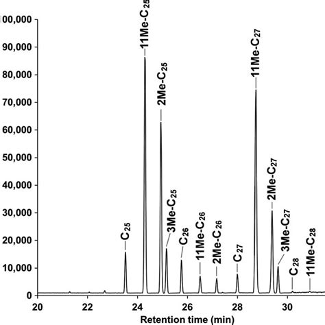 Chromatogram Of The Cuticular Hydrocarbon Chc Profile From Workers In Download Scientific