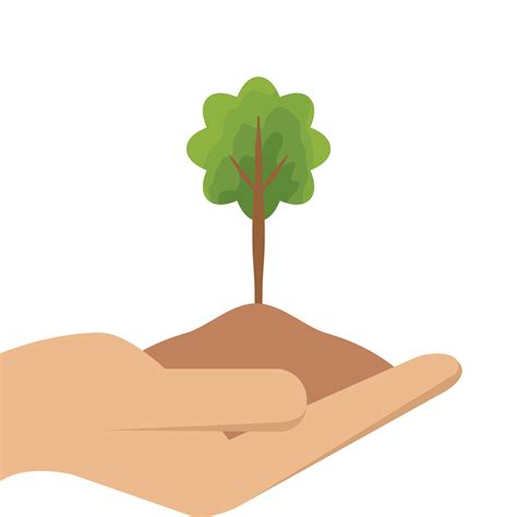 Un Main En Portant Arbre Plante La Vie Vert La Nature 21446360 Png