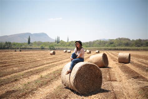 Finding The Hay In The Needle Stack By Barbara Brooks Medium