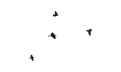 Bird Flying Animation Vector Art Icons And Graphics For Free Download