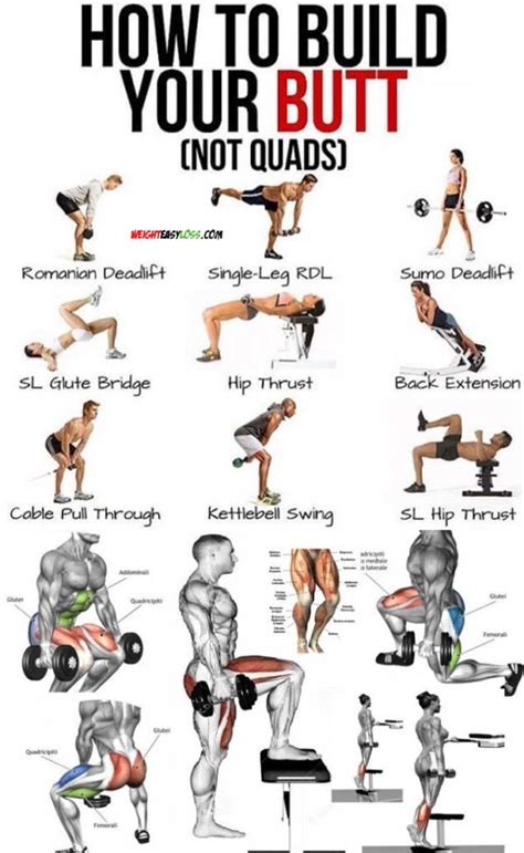 What Determines The Size Of Your Glutes Nhkky