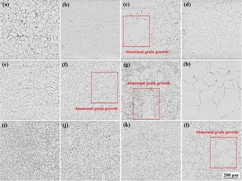 Optical Micrographs Showing Austenite Grain Structures For Various
