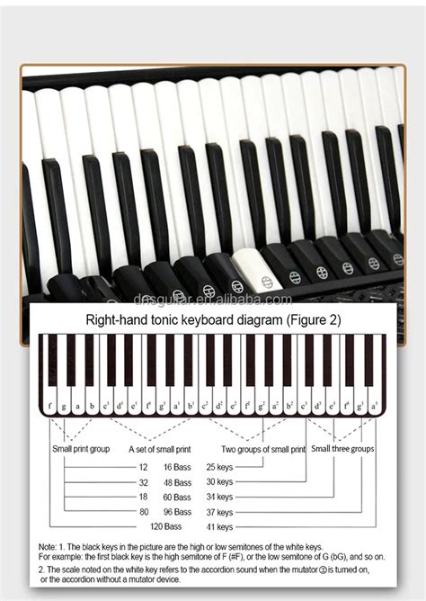 Piano Accordion Keyboard Layout At Alaina Johnson Blog