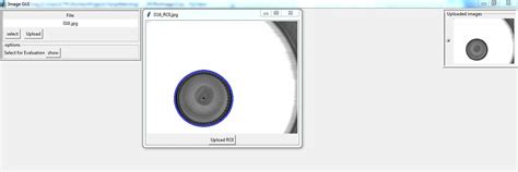 How To Extract Only Circular ROI Portion Of The Image And Show Radius Of The Circle With A