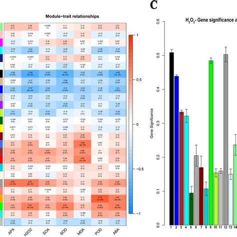 Wgcna Coexpression Network And Module Trait Correlation Analysis A