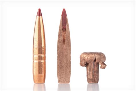 Bullet Performance Predicting Bullet Performance African