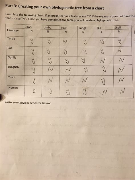 Solved Part Creating Your Own Phylogenetic Tree From A Chegg