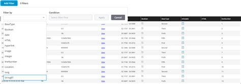 Chip Based Data Filter Widget Themable