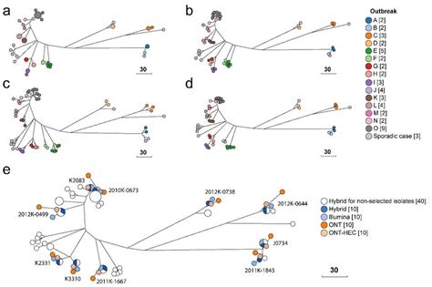 minimum spanning trees msts constructed by cgmlst a mst by hybrid