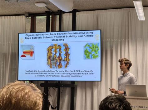 Extraction Fucoxanthin Des Biotechnology Algae Seaweed