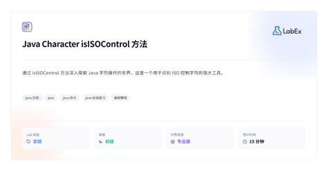 掌握 Java 的 Isisocontrol 方法 Labex
