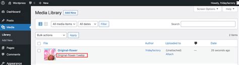 How To Use Webp Images On Wordpress Everything You Need To Know