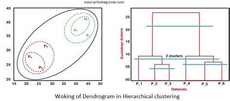Hierarchical Clustering In Machine Learning