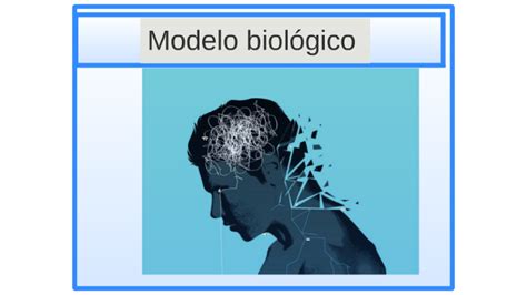 Modelo Biológico By Mau Alvarez Zacselly On Prezi