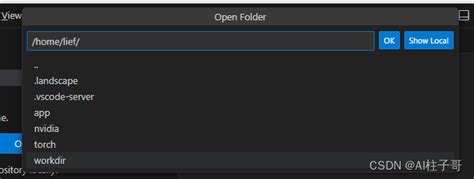 【ai环境】wsl使用vs Code编辑代码wsl使用vscode进行编程 Csdn博客