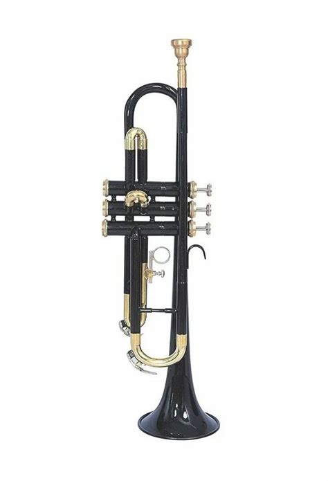 Brass Musical Trumpet Weight Kg Gram At Piece In Meerut ID