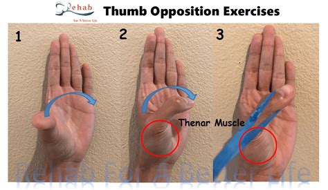 The Best Exercises For Your Painful Thumb Arthritis Artofit
