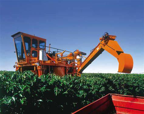Colheita Mecanizada Do Café Revista Cultivar
