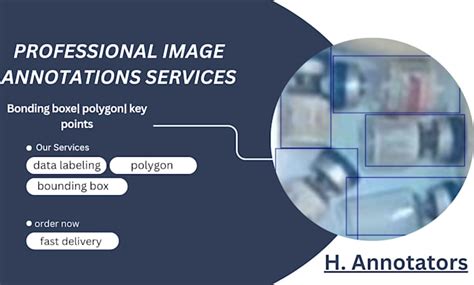 provide image annotation data labeling bounding box segmentation by