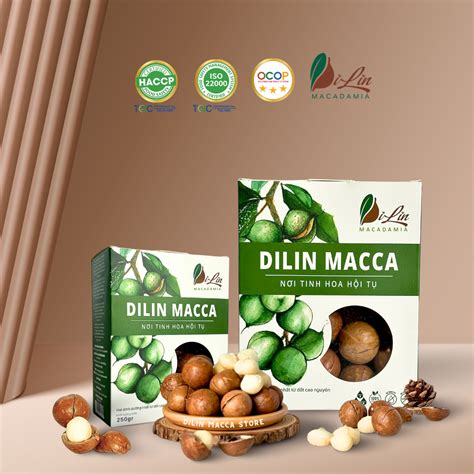 Hạt Macca Nứt Vỏ Dilin Macadamia Mắc Ca Tây Nguyên [hộp 500g]