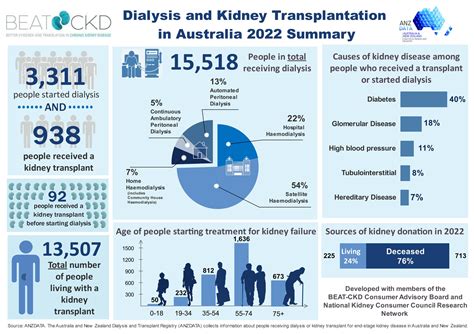 Infographic Statistics